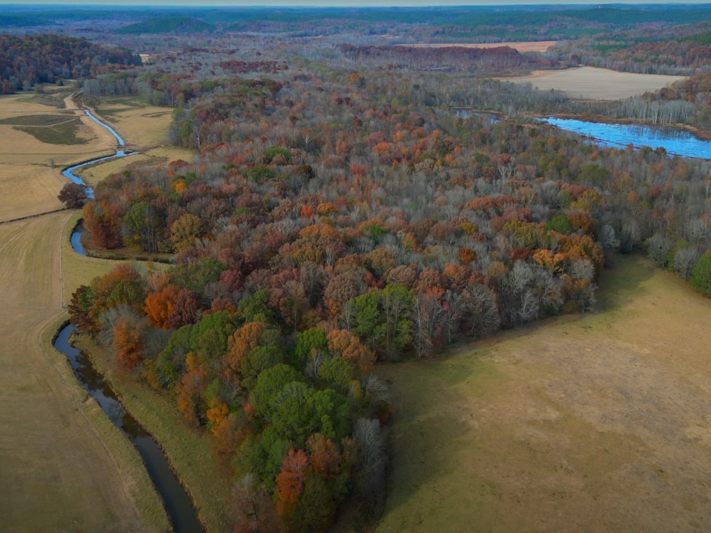 Hill Country History – Exploring North Mississippi's Hill Country